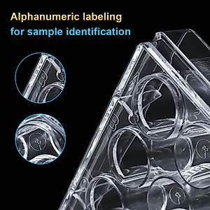 LVDALAB 12 Well Bacterial Culture Dishes Tissue Culture Dish Polystyrene Petri Dish with Lids Educational Petri Plates for Lab Science Experiment, Pack of 10,Sterile