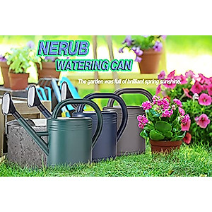 Watering Can 1 Gallon for Indoor Plants, Garden Watering Cans Outdoor Plant House Flower, Gallon Watering Can Large Long Spout with Sprinkler Head (Grey)