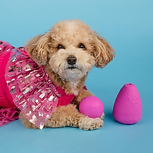 Doggy Parton Natural Rubber Dog Toys, Dog Balls, Treater