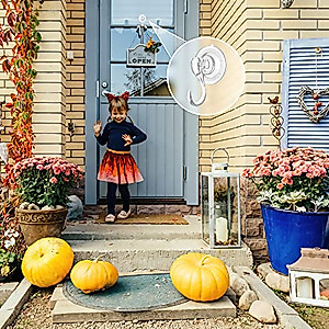 VIS'V Suction Cup Hooks, Small Clear Heavy Duty Vacuum Suction Hooks with Wipes Removable Strong Window Glass Door Kitchen Bathroom Shower Wall Suction Hanger for Towel Loofah Utensils Wreath - 2 Pcs