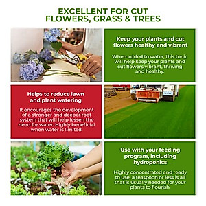 Hormex Vitamin B1 Rooting Hormone Concentrate - Rooting Hormone for Hydroponics, Aeroponics, Established Plants, Cuttings and More, Indoor and Outdoor Plant Growth Stimulator Concentrate - (8oz)