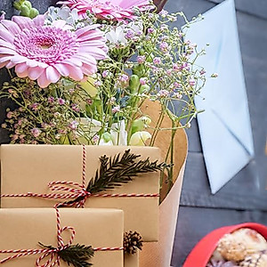 Brown Kraft Paper Roll 17" x100 feet (1200 inches) - Perfect Paper for Packing - Kraft Wrapping Paper for Moving - Floor Masking Paper - 100% Recycled Pa per- (Pack of 1) (17” x 1200", Brown)