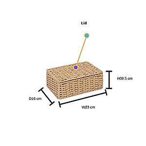 Arpan Natural Paper Rope Storage Basket Box With Lid (Small)