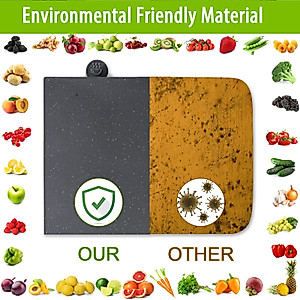 Almcmy Index Cutting Boards, 4-Pieces Plastic Cutting Board with Storage Stand, Chopping Boards with Food Icons & 1 Extra Scissors, BPA-Free, Dishwasher Safe, Cutting Boards for Kitchen, 12.6" X 8.6"