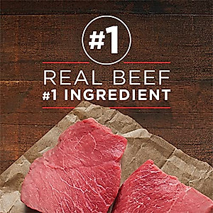 Purina ONE Classic Ground Beef and Brown Rice Entree Adult Wet Dog Food - (12) 13 oz. Cans