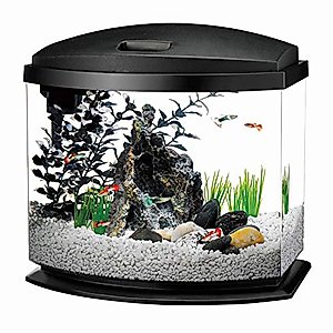 Aqueon LED Minibow Aquarium Starter Kit with LED Lighting, 5 Gallon, Black