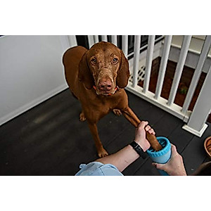 Dexas MudBuster Portable Dog Paw Cleaner, Medium, Blue