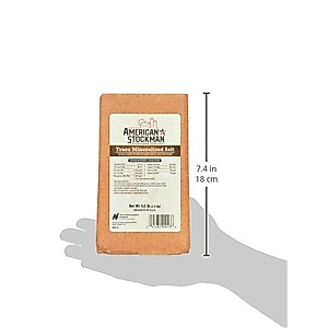North American Salt 90013 Trace Mineral Brick Pet Nutritional Supplement, 4-Pound