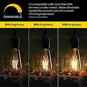 Brightown LED Edison Bulb, 10 Packs 60 Watt Equivalent 6W Dimmable LED Filament Bulb, E26 Base Vintage Amber Bulbs, 2700K Warm White, 470 Lumen