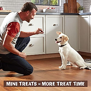 Pup-Peroni Original Beef Flavored Mini Dog Treats, 22.5 Ounce