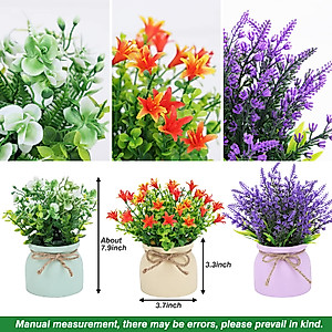 CEWOR Small Artificial Plants, 3 Pack Fake Potted Plants, Small Flowers Artificial Lavender Eucalyptus Boxwood in Plastic Macaron Pots for Home Decor Indoor Outdoor