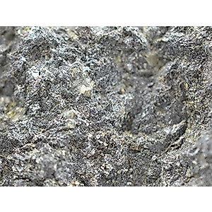 EISCO Peridotite Specimen (Igneous Rock), Approx. 1" (3cm)