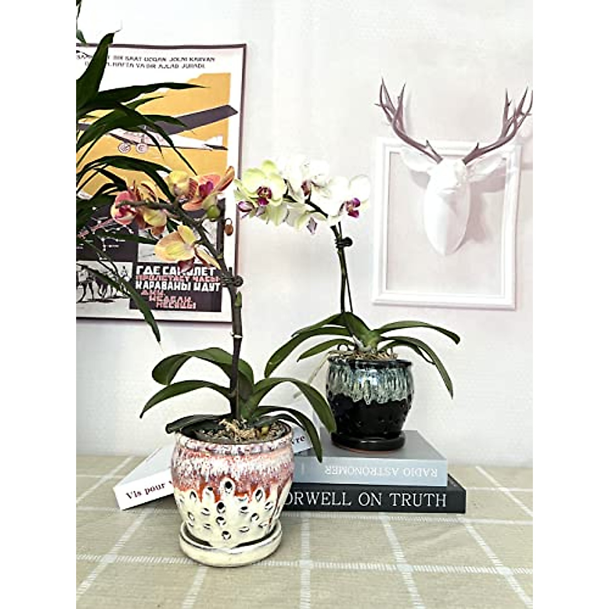 Orchid Pots with Holes 4.33 inch Ceramic Orchid Planter White and Black (Set of 2)