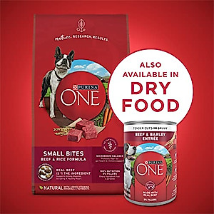 Purina ONE Tender Cuts in Gravy Beef and Barley Entree in Wet Dog Food Gravy - (12) 13 oz. Cans