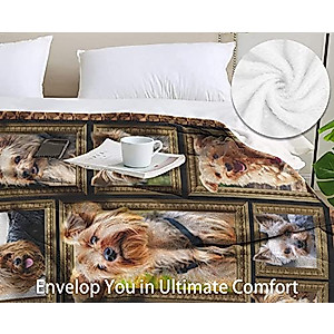 Yorkshire Terrier ​Blanket for Dog Lover, Fleece Throw Blanket for Couch Super Soft Cozy Bed Blanket Lightweight Plush Fuzzy Blankets and Throws for Sofa, 50 x 60 Inch