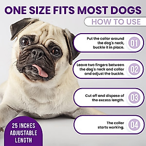 Royce Naturals 4 Pack Calming Collar for Dogs, Pheromone Breakaway Dog Collar, Separation Anxiety Relief for Dogs, Purple, (PETCOL01-3PP)