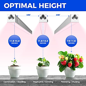 Barrina Grow Light for Indoor Plants, Full Spectrum Sunlight, 1ft Grow Lamp, LED Grow Light Bulbs, T5 Grow Light Strip, Plug and Play, Pinkish White, 4-Pack