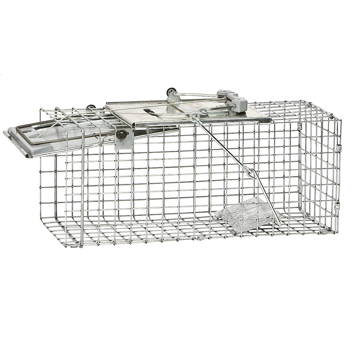 Havahart 1083 Catch and Release Small 1-Door Easy Set Humane Live Animal Trap for Squirrels, Rabbits, Skunks, and Other Small Animals