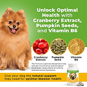 ONLY NATURAL PET Canine Bladder Control - Senior Dog Care Supplement - UTI, Urinary Tract Health, Incontinence Support w/Cranberry Extract | Pills, Vitamins, 90 Chewable Tablets (Natural Turkey)