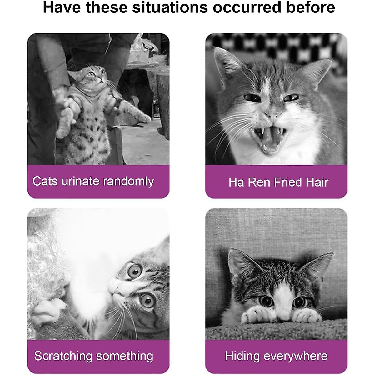 RHUTQP Blisso Cat Diffuser,Cat Calming Pheromone Diffuser,Cat Calming Diffuser,Cat Pheromones Calming Diffuser,Cat Anxiety Relief,Reduce Fighting and Scratching Calm Relaxing (60days)