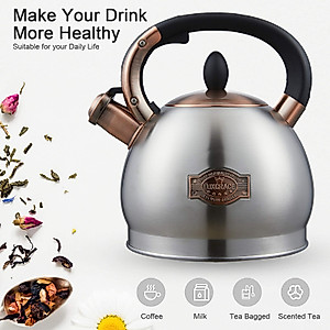 Tea Kettle -2.8 Quart Tea Kettles Stovetop Whistling Teapot Stainless Steel Tea Pots for Stove Top Whistle Tea Pot