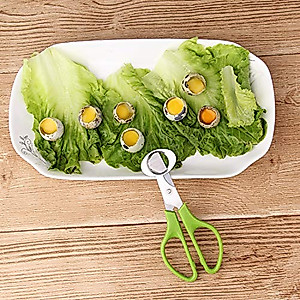 Calary 3Pcs Quail Egg Cutter Scissors Kitchen Egg Shears Tool (Green)