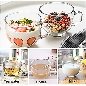 YAMSH Large Clear Glass Coffee Mugs Set of 2,14.8 oz(440ml)-Wide Mouth Tea Cups with Handle and Spoon Transparent Drinking for Cappuccino Cups, Latte, Milk color 4 Piece