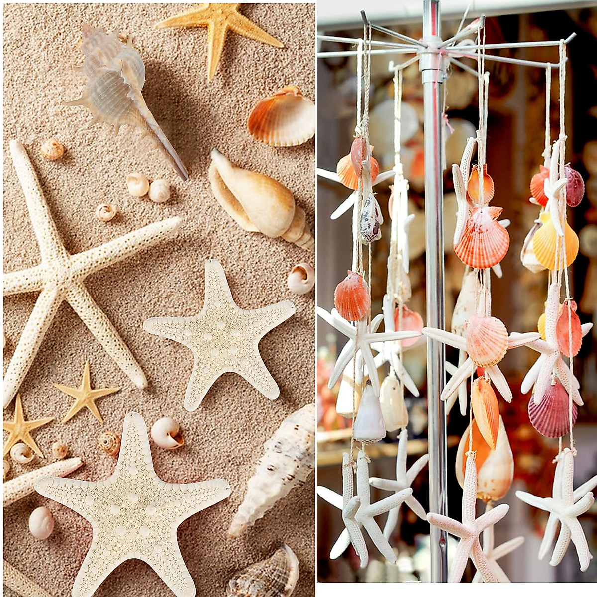Jangostor Sea Shells Mixed Ocean Seashells, 1.2"-3.5" Various Sizes Beach Seashells and Natural Starfish for Vase Fillers Fish Tank Beach Themed Party Home Wedding Decorations DIY Crafts