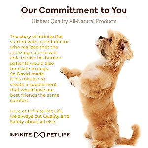 Super Multi-Vitamin Chew with Ashwagandha. Multivitamin for Joint, Skin, Gut, Brain, Bone, Heart & Immune Health - All Natural Ashwagandha, Curcumin, Pumpkin Powder & Vitamin C (90 Chews).