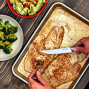 Slitzer Germany Steak Knife Set - 4 Piece Stainless Steel Kitchen Knife Set - Serrated, Sharp and Durable Steak Knives Set for Dinner, Restaurant and Steakhouse Use