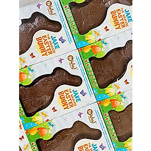 Vegan, Gluten Free Jake The Milkless Chocolate Easter Bunny | Allergy Friendly | Dairy Free, Nut Free, Peanut Free, Soy Free, Gluten Free | No Whey Foods