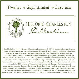 HISTORIC CHARLESTON King Charles Classic European Matelasse Cotton Decorative Pillow Case, Standard Sham (20" x 26"), White