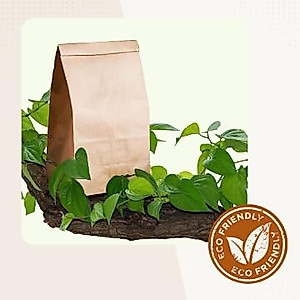 Kraft Paper Bags, 4 Lb Brown Paper Bags, (50 Count) (Brown #4)