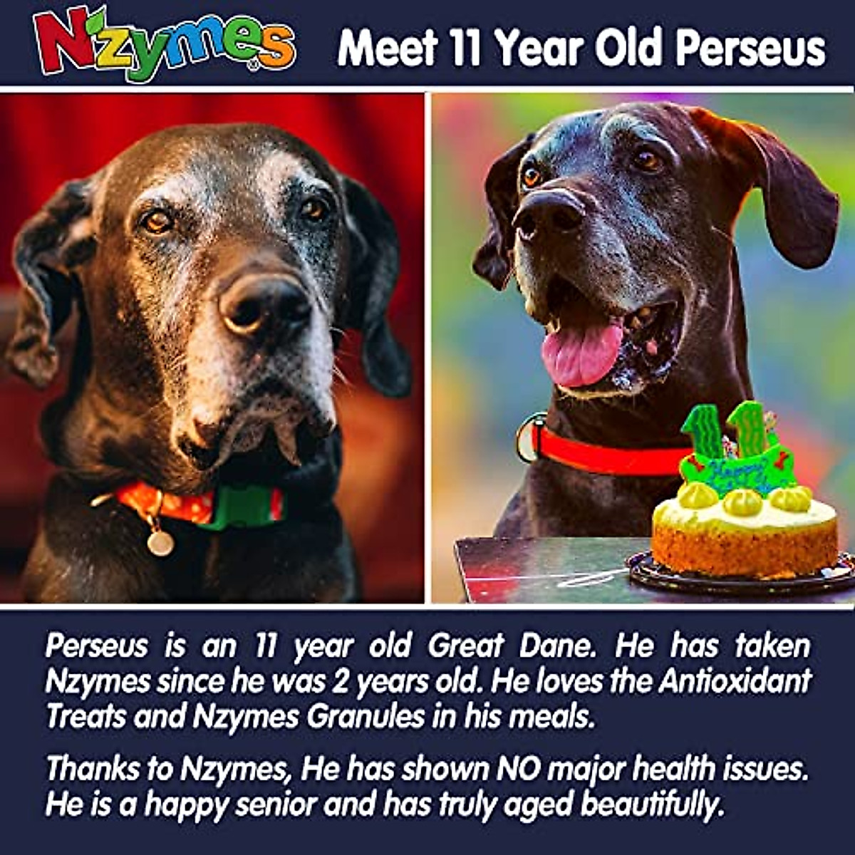 Nzymes® Antioxidant Dog Treats - for Dogs Joints, Hips, Paralysis, Skin, Coat, Hair Loss, Aging, Digestion, Neurological, Seizures - Dog Treats for Large Dog - 60 Treats - Made in The USA