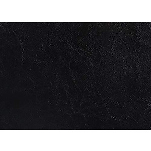 Crown Mark Erin Upholstered Panel Bed in Black, Queen