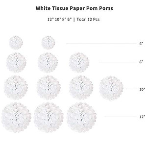 ANSOMO White Tissue Paper Pom Poms Flowers Party Decorations 12" 10" 8" 6" Pack of 12