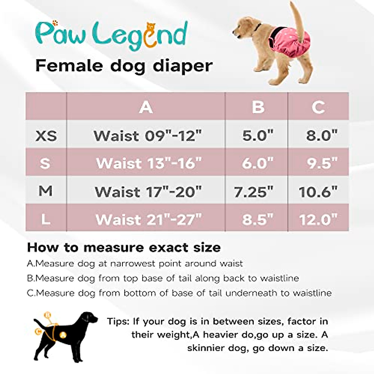 Paw Legend Washable Reusable Female Dog Diapers - No Leak Doggie Diapers for Heat Cycle (3 Pack,X-Small)