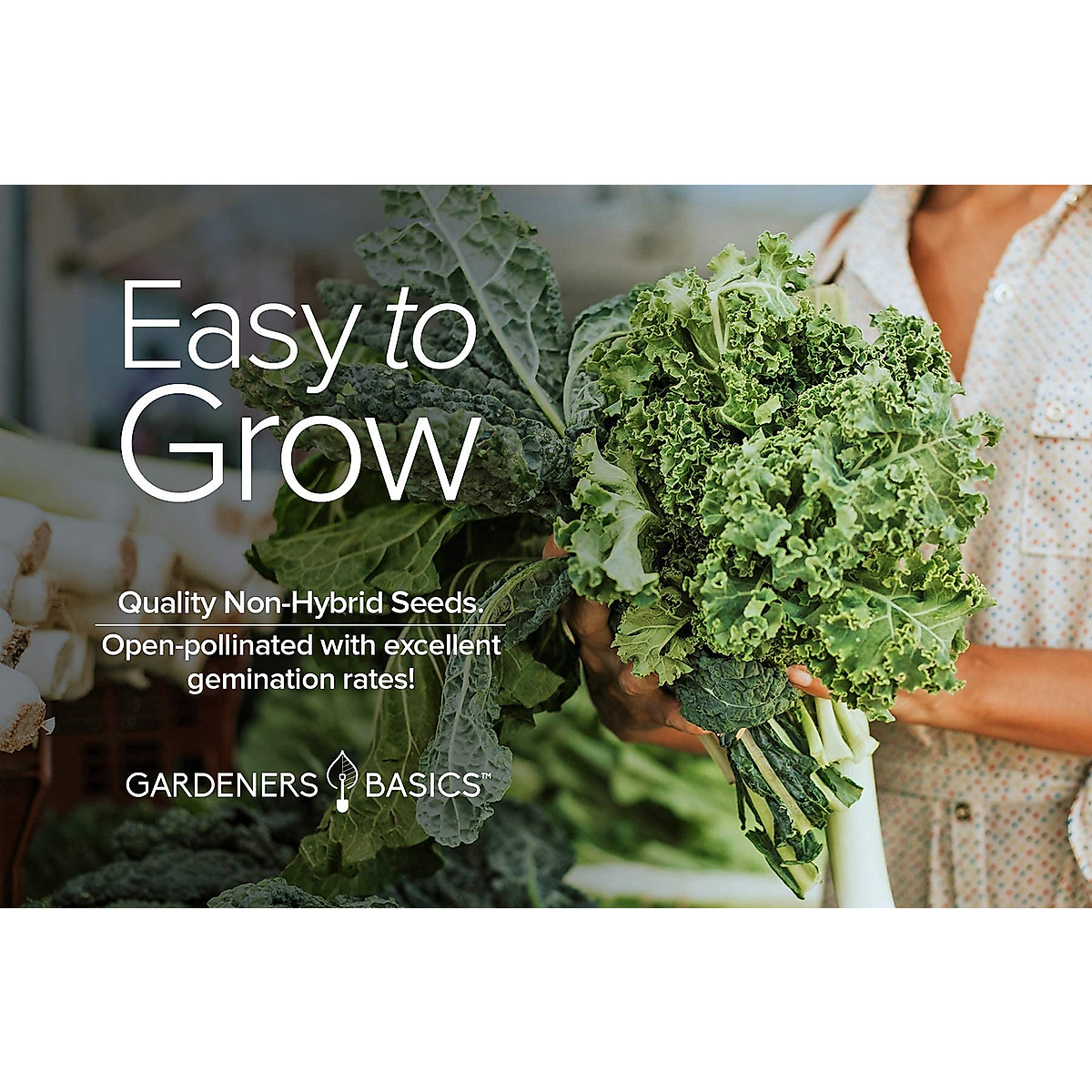 Gardeners Basics, Kale Seeds for Planting, Heirloom, Non-GMO Vegetable Variety - Great for Indoor, Outdoor, and Hydroponics Gardening (Vates Blue Scotch Curled)