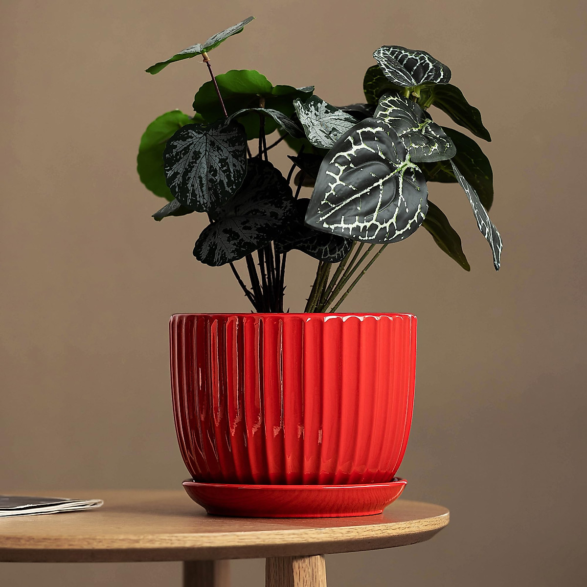 Ton Sin Ceramic Plant Pots - 4/5/6 Inch Red Planters Set of 3 with Drainage Holes and Saucer - Indoor Flower Pots for Plants Ceramic Planters for Indoor Gardening Succulent Pots