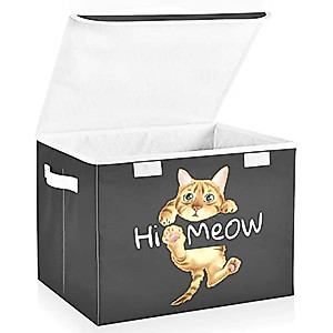 DOMIKING Funny Cat Large Storage Bin with Lid Collapsible Shelf Baskets Box with Handles Closet Organizer for Clothes Toy Gift Storage