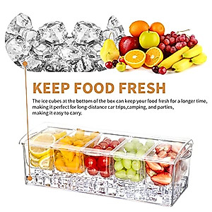 Laojbaba Chilled Condiment Server Clear Icy Condiment Bar Condiment Tray ice Party Serving bar with Lid Bar Garnish Holder on ice 5 Removable Compartments