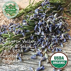 Chagrin Valley Soap & Salve Organic Natural Shampoo Bar - Honey Beer & Egg (1 Bar)