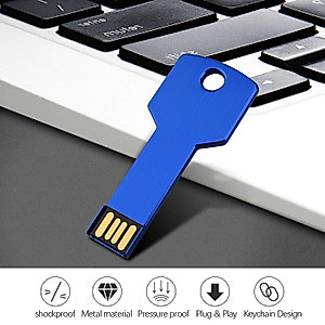 RAOYI 10 Pack 2GB USB Flash Drive USB 2.0 Metal Key Shape Memory Stick Thumb Drive Pen Drive-Blue