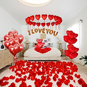 Tayuvira I Love You Balloons And Red Heart Balloons Set ，Heart Balloons Kit With 1000 Pcs Dark-Red Silk Rose .I Love You Decoration For Anniversary Confession Proposal Wedding Valentine Day