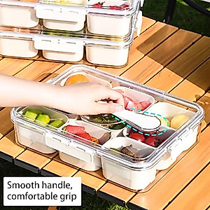 2 Pack Portable Picnic Parties Fruit Tray, 9 Compartment Fridge Food Veggie Condiment Divided Serving Preservation Storage Containers, Kitchen Clear Snackle Box Candy Organizer with Lid Handle