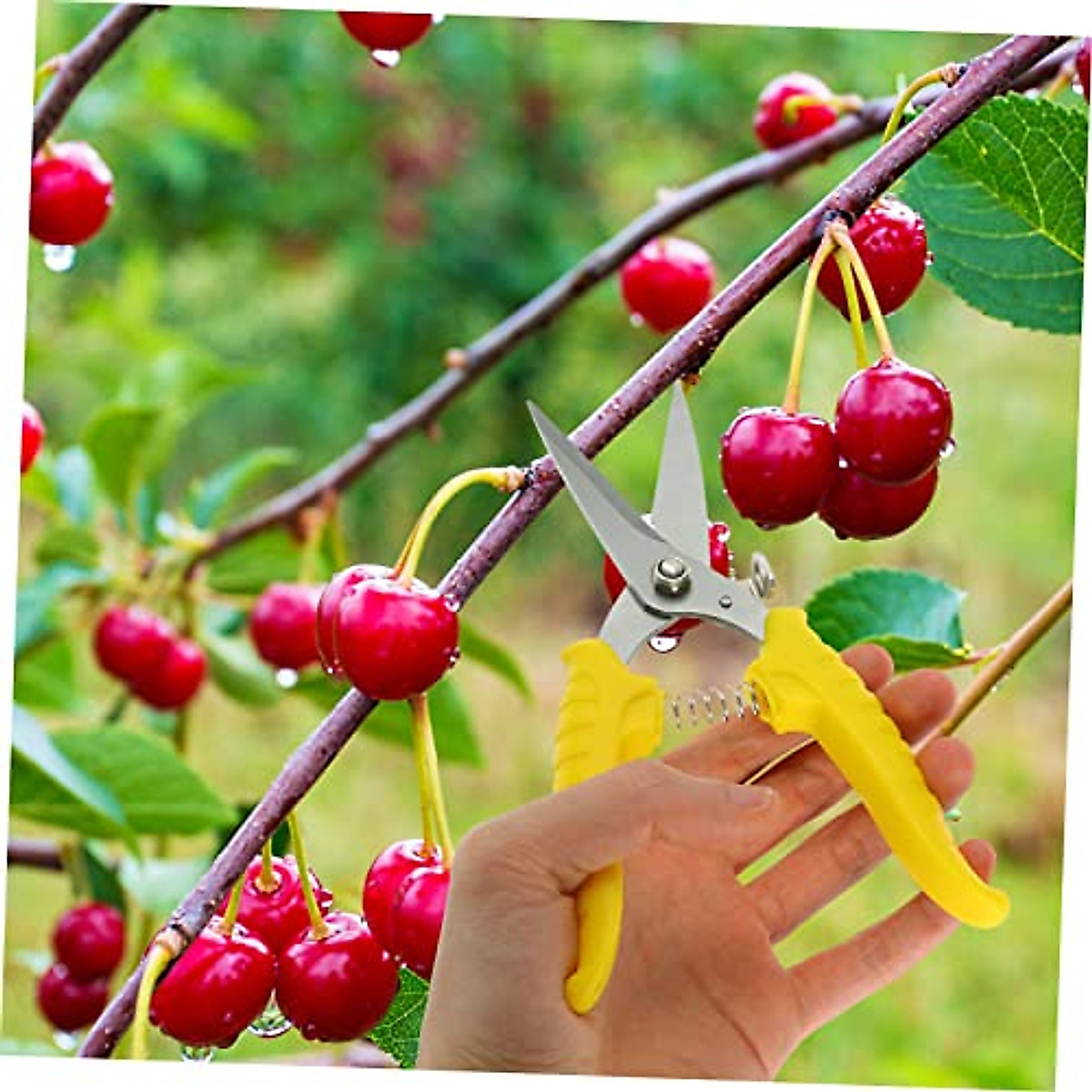 VILLFUL 1pc Pruning Shears Pruners Bonsai Cutters Gardening Trimming Tool Labor Saving Scissor Gardening Tool Yard Pruning Tools Gardening Supplies Jagged Stainless Steel