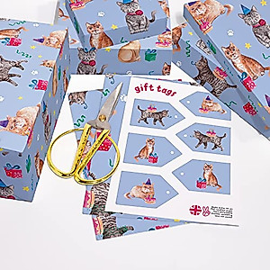 CENTRAL 23 Cat Wrapping Paper - 6 Sheets Blue Gift Wrap - Cat Themed Gifts For Girls - Cat Birthday Wrapping Paper For Pets - Cat Mom And Dad - Comes With Cute Stickers