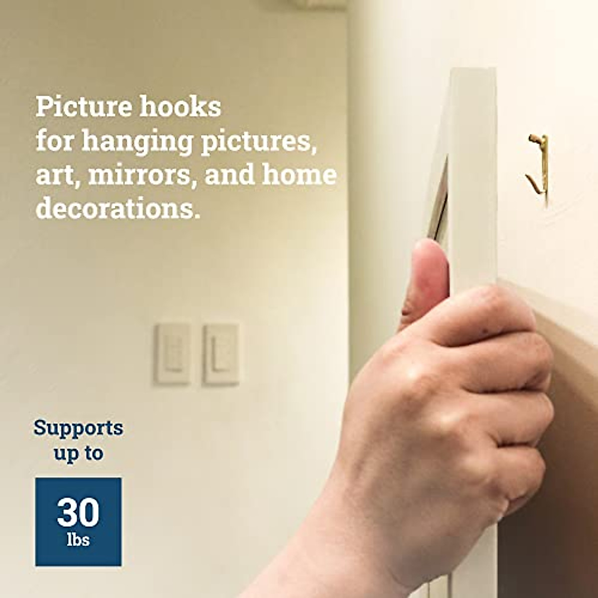 Plaster Picture Hangers 30 lbs - 25 Pack - Picture Hanging Nails - Picture Hanging Hooks - Picture Hang Solutions