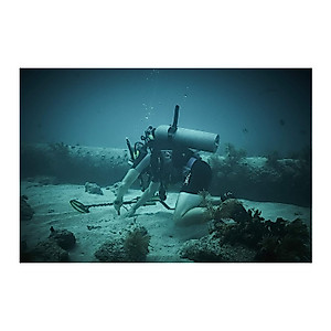 Minelab Equinox 800 Multi-IQ Underwater Waterproof Metal Detector & Pro Find 35