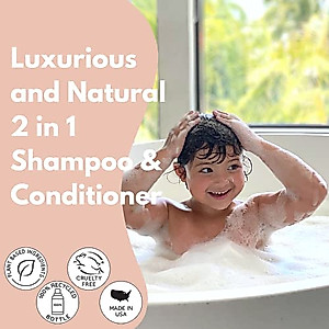 Gryph and IvyRose Daily Embrace 2-in-1 Sulfate Free and Paraben Free Shampoo and Conditioner - Soft Hair Hydration Shampoo/Conditioner - Goji Berry & Ginger (1-Pack)